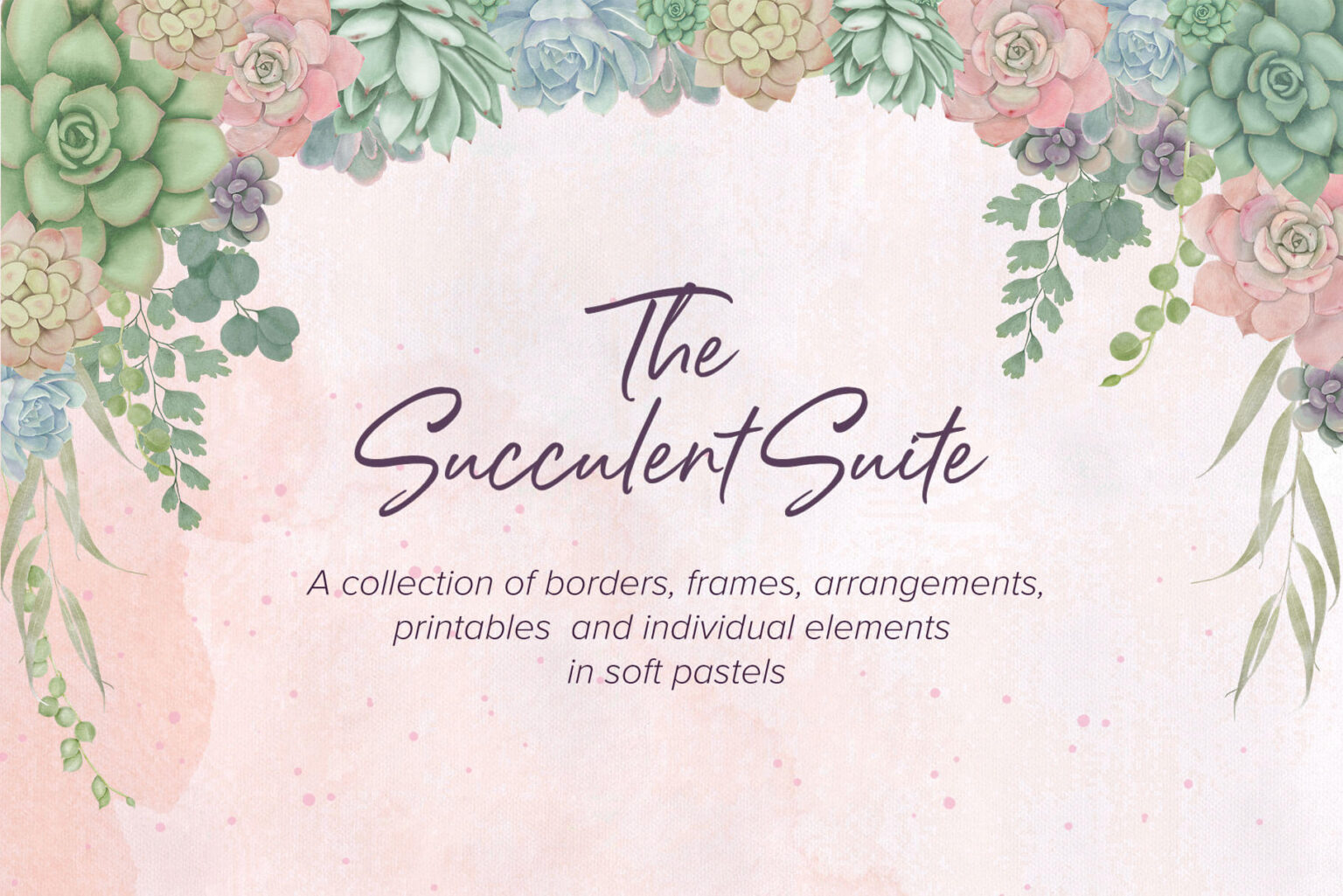 The Succulent Suite Design Set | Succulent Illustrations & Printables